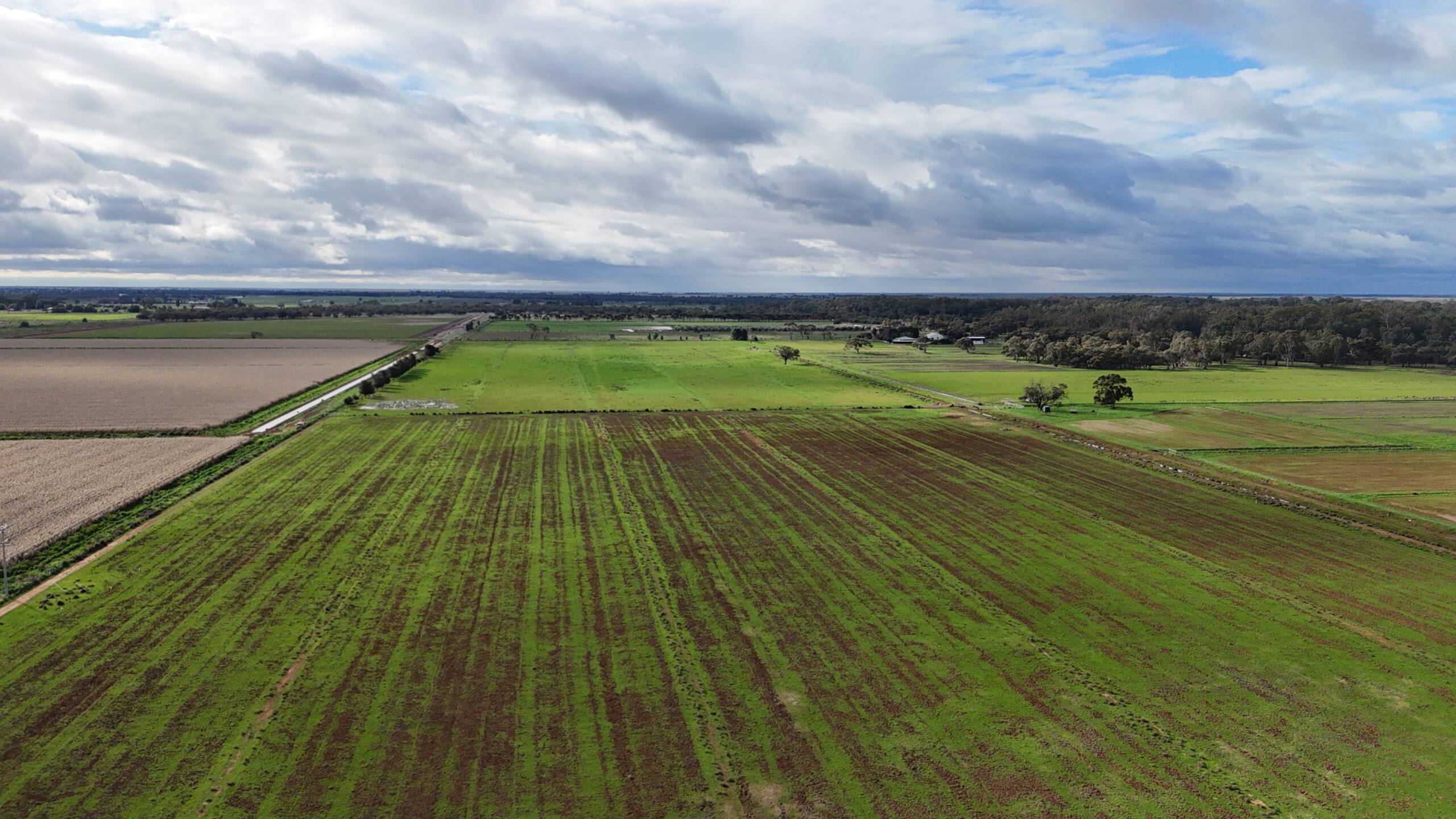 Hay Solar Farm – CleanPeak Energy